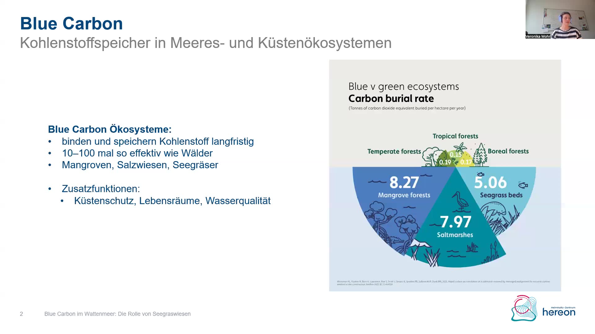 Blue Carbon im Wattenmeer: Die Rolle von Seegraswiesen - Veronika Mohr ...