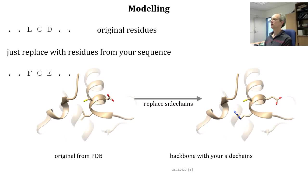 Homology modelling part 1 of 4 - Prof. Dr. Andrew Torda - Universität ...